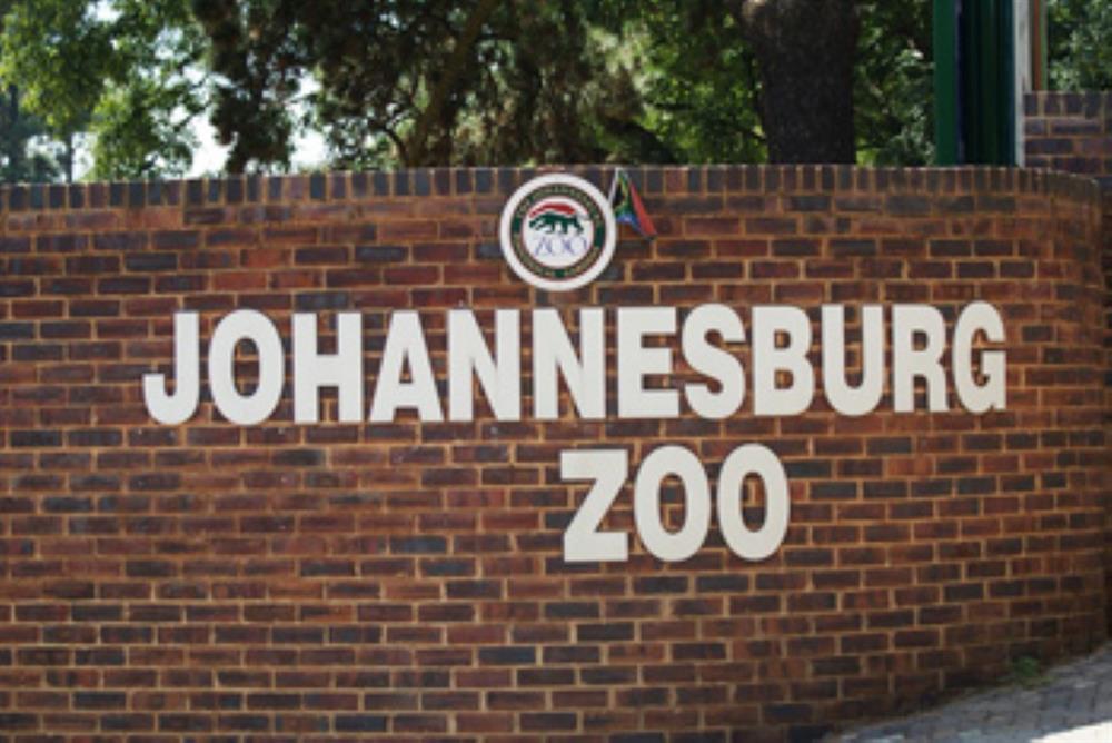 Joburg Zoo celebrate 115th birthday - Gauteng News
